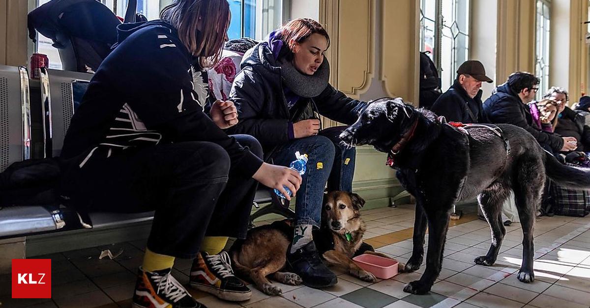 Michael Takacs im Gespräch: Experten rechnen mit bis zu 200.000 ...