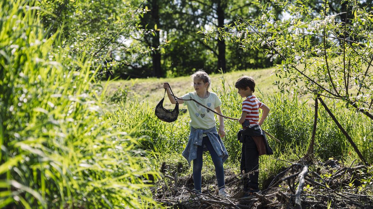Michaela Grabner: Nach E-Card-Fund: Handtasche der vermissten ...