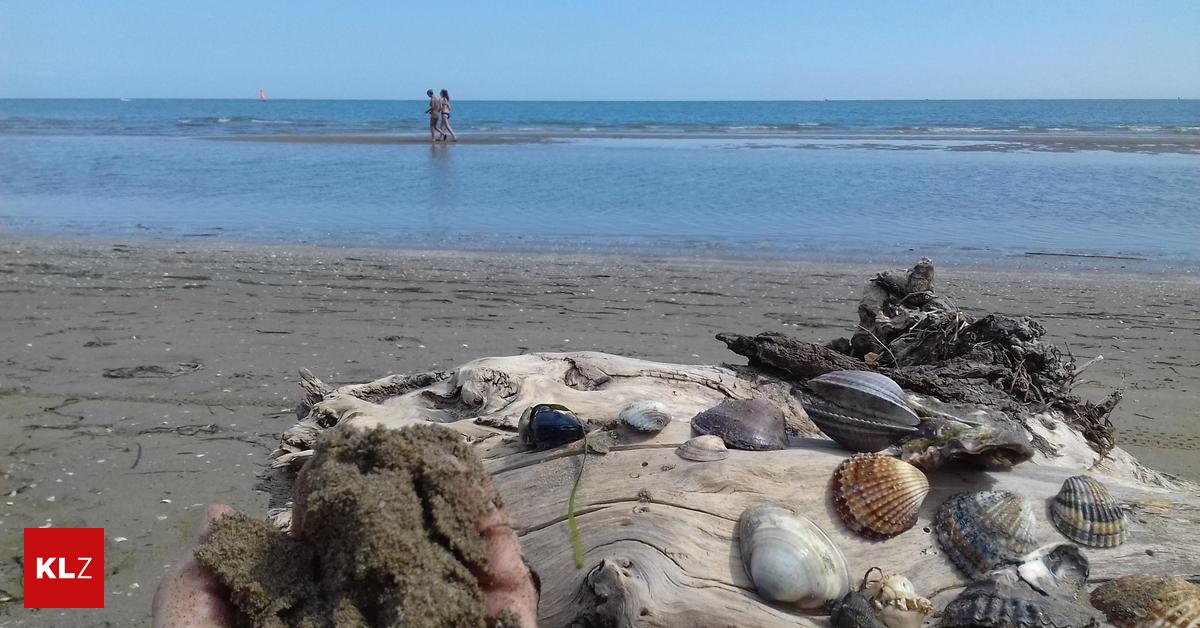 Tourismusprojekt geplant : Bekannte Muschelinsel vor Lignano hat einen ...