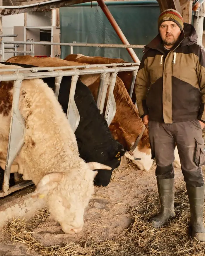 Milchpreis nach Haltungsform: „Die, die jetzt jammern, sind seit 20 ...