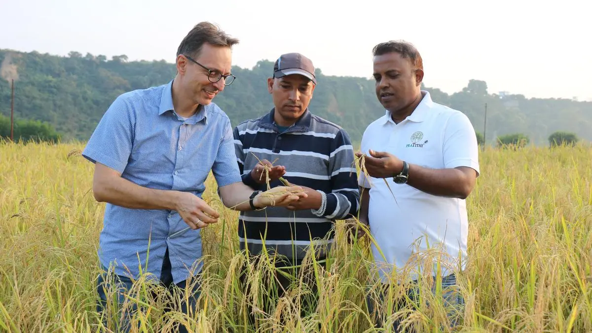 Orienthaus Reyhani: Vom Teppich zum Reis: Wie sich ein Grazer ...