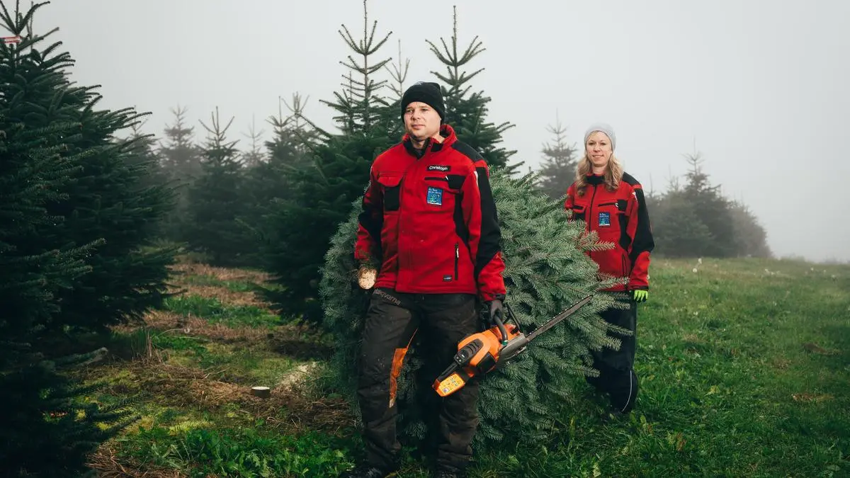 Saisonstart der Christbaumbauern: Christoph Grain: „Der Klimawandel ...