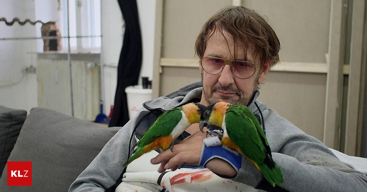 Neu im Kino: Kunst-Punk mit Papagei, und welche Filme sich (nicht) lohnen