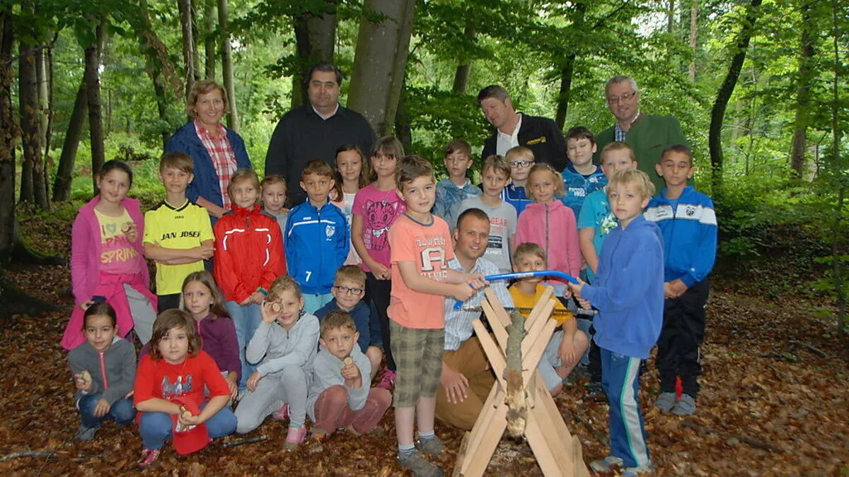 Waldspiele: Den Wald mit allen Sinnen entdecken