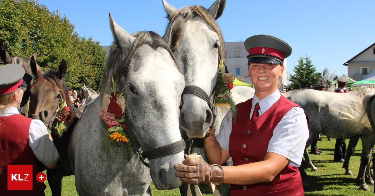 Lipizzaner-Almabtrieb: Tausende Besucher bejubelten die Junghengste