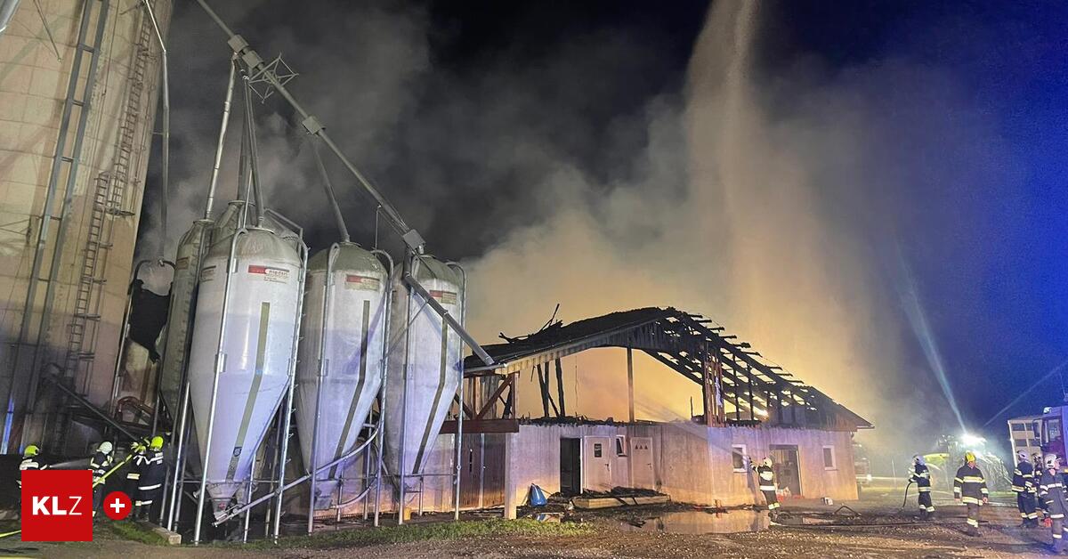 700 Tiere verendeten: Großbrand in Schweinestall wurde durch ...