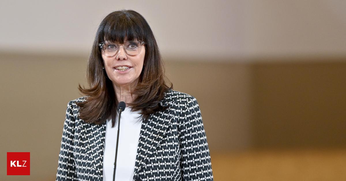 Wirtschaftskammer: WKO Vizepräsidentin Martha Schultz zieht Notbremse