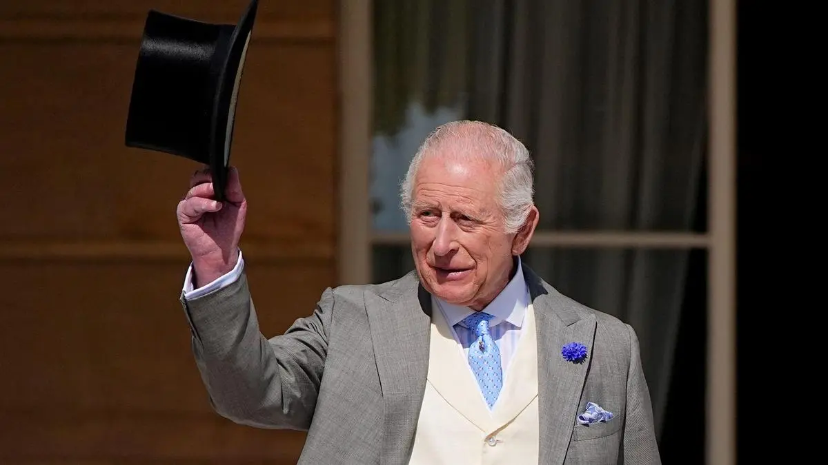 Octokuro 4k it is situated in a decent locale easy space on