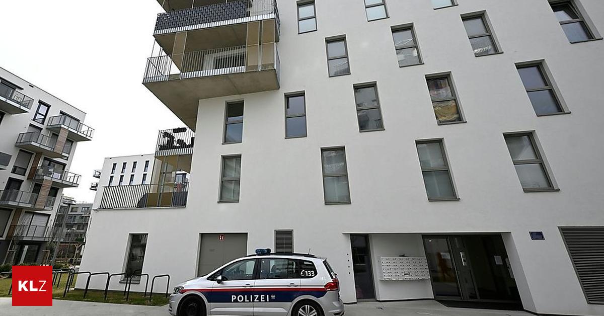 Mordalarm in Wien: 22-Jähriger soll seine Mutter erstochen haben