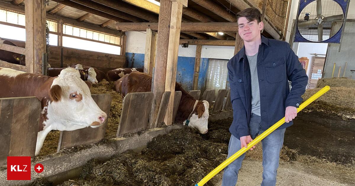 Valentin Wippel: „Ich wollte einen klasse Beruf erlernen“