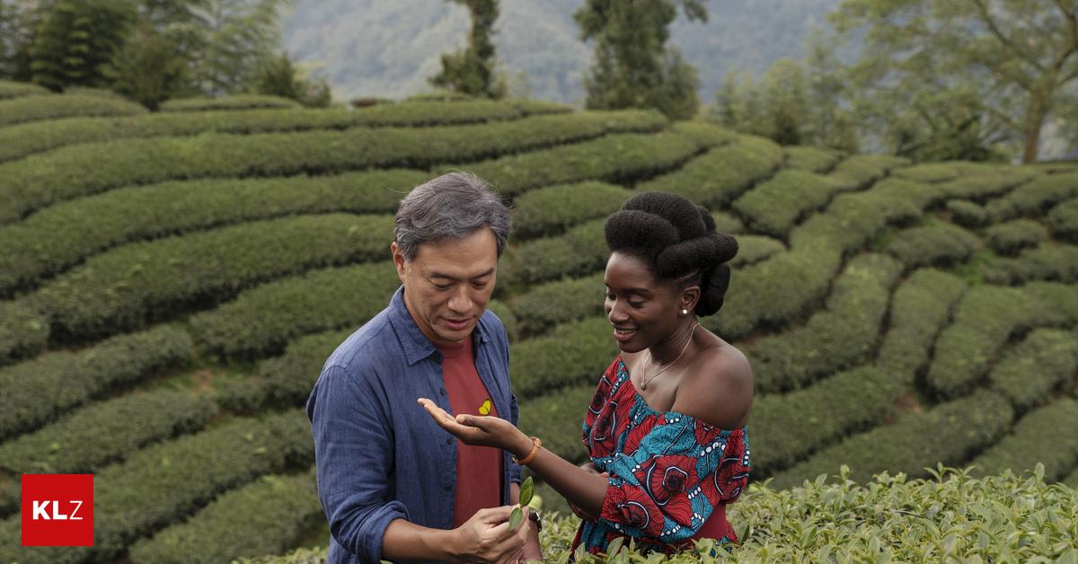 Donna d'errico onlyfans leaked amazing energy, actually