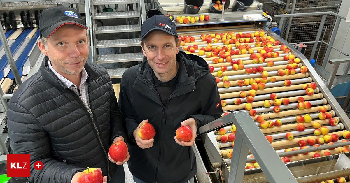 Bei 48 bis 52 Grad: Warum diese Äpfel nach dem Pflücken zu Warmduschern werden...
