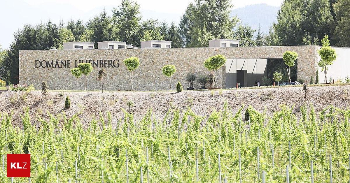 Franz Peter Orasch: Verwirrung um russische Finanzeintreiber in Tainach