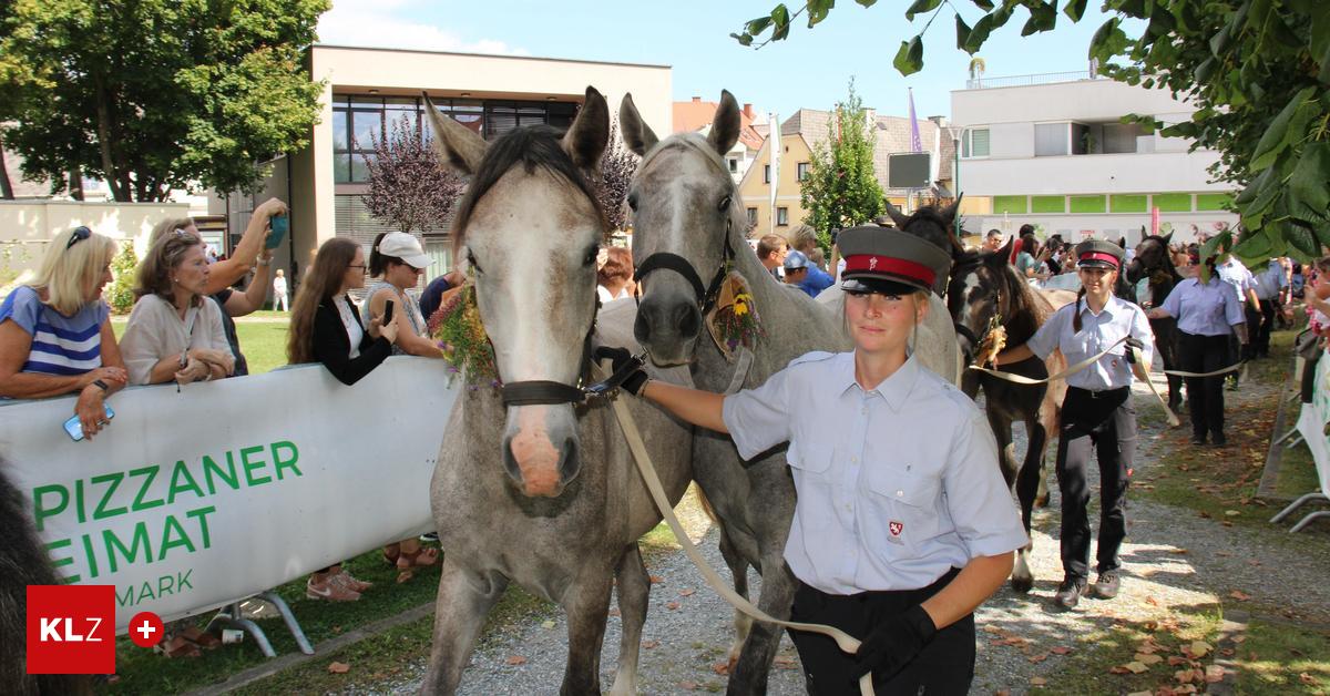 Für den Lipizzaner-Almabtrieb gibt es heuer sogar eine Goldmedaille
