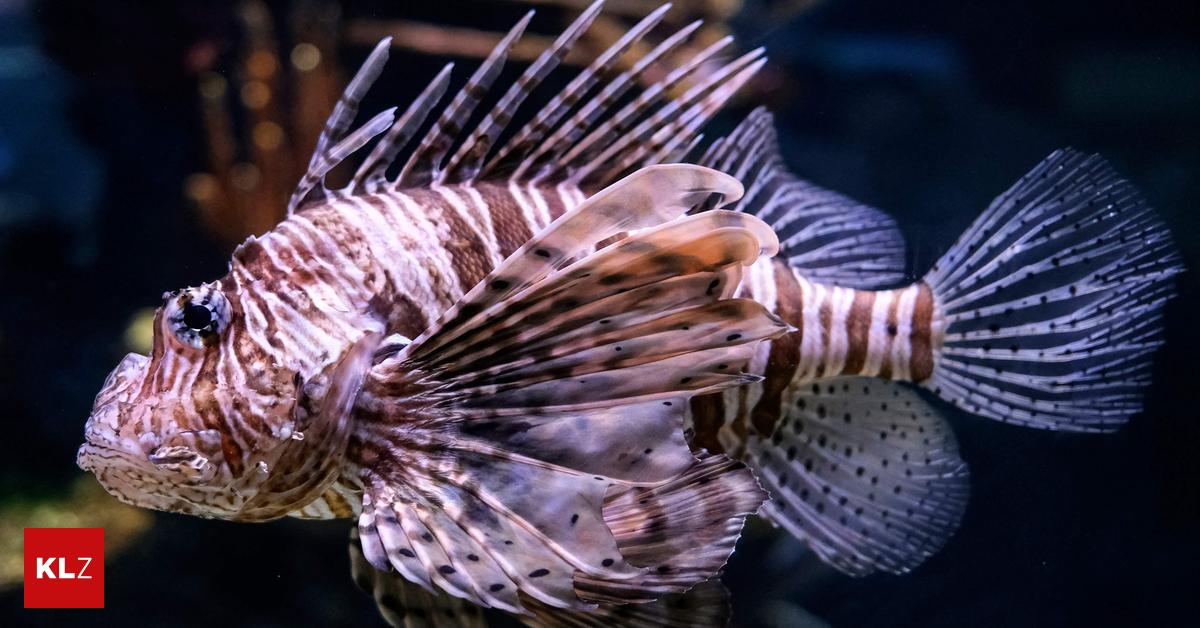 Averette ilie sex made an appointment, reaffirmed that