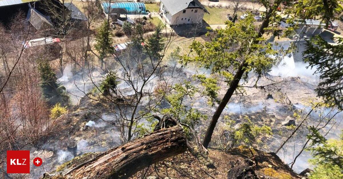 80 Mann im Einsatz: Feuerwehren im Kampf gegen Waldbrand in der ...