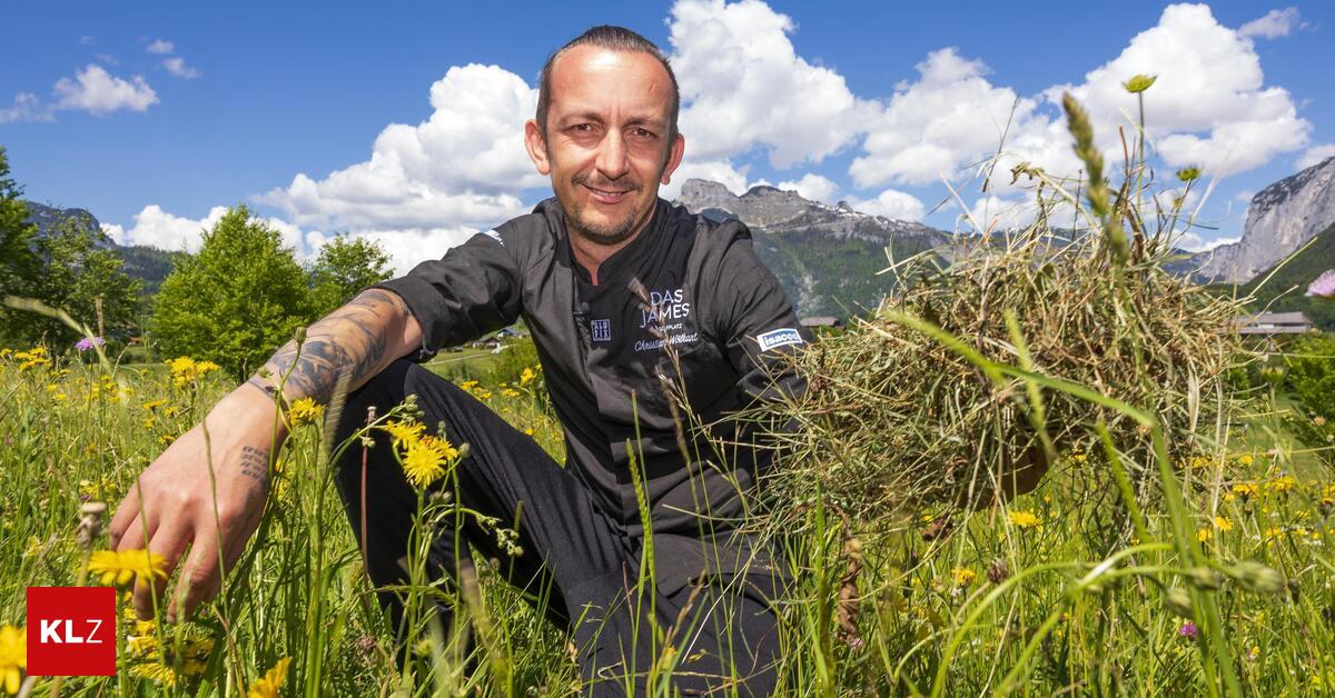 Kochen mit Heu: Genussvoll ins Gras beißen: So gut schmeckt die Wiese