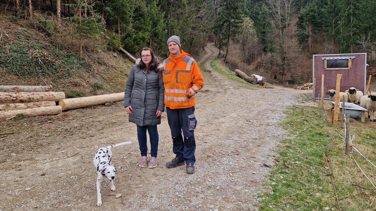 Direkte Begegnung mit Wolf: Frau wurde auf Bauernhof "angeknurrt"