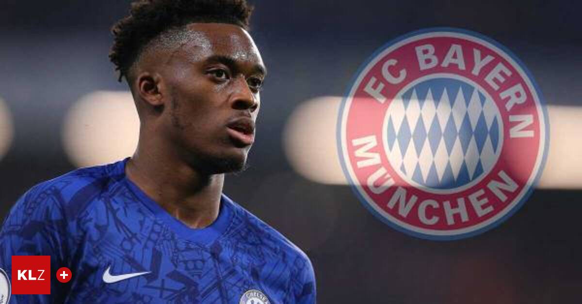 FC Bayern, News und Gerüchte: Hudson-Odoi-Wechsel zum FCB steht nicht ...