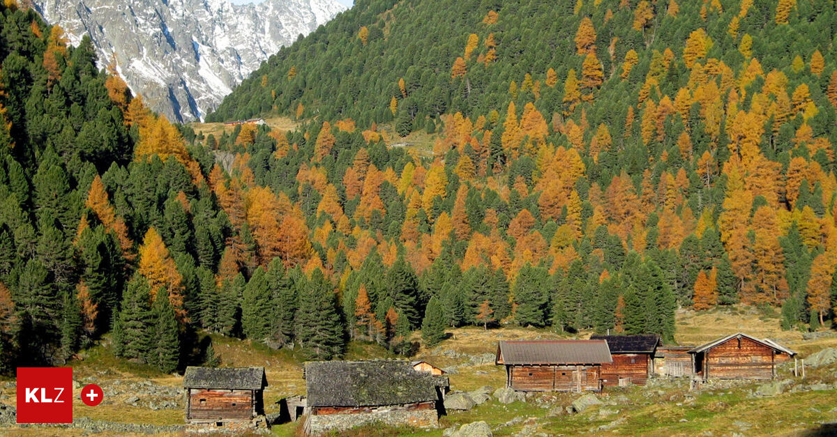 Ins Trojeralmtal: Nationalpark Hohe Tauern feiert 30-jähriges Jubiläum ...