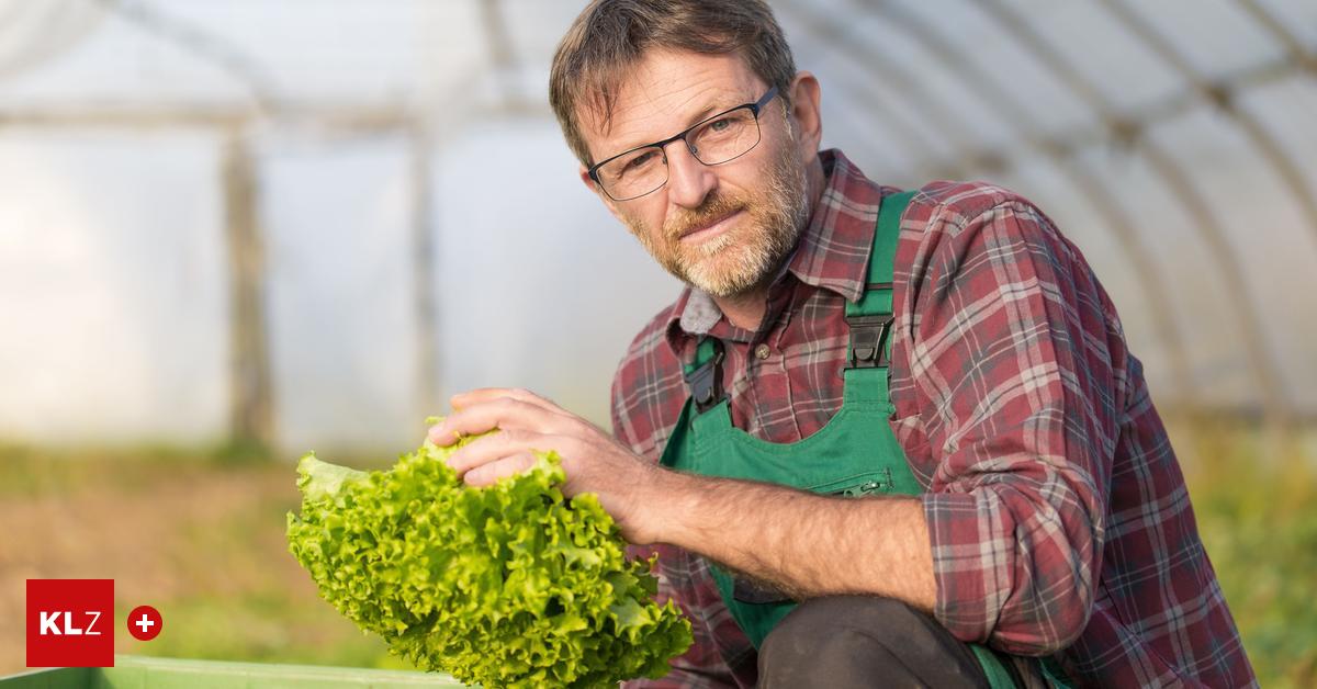 Neuer Abgeordneter: Ein Mann für Premieren rückt für die Grünen in den ...