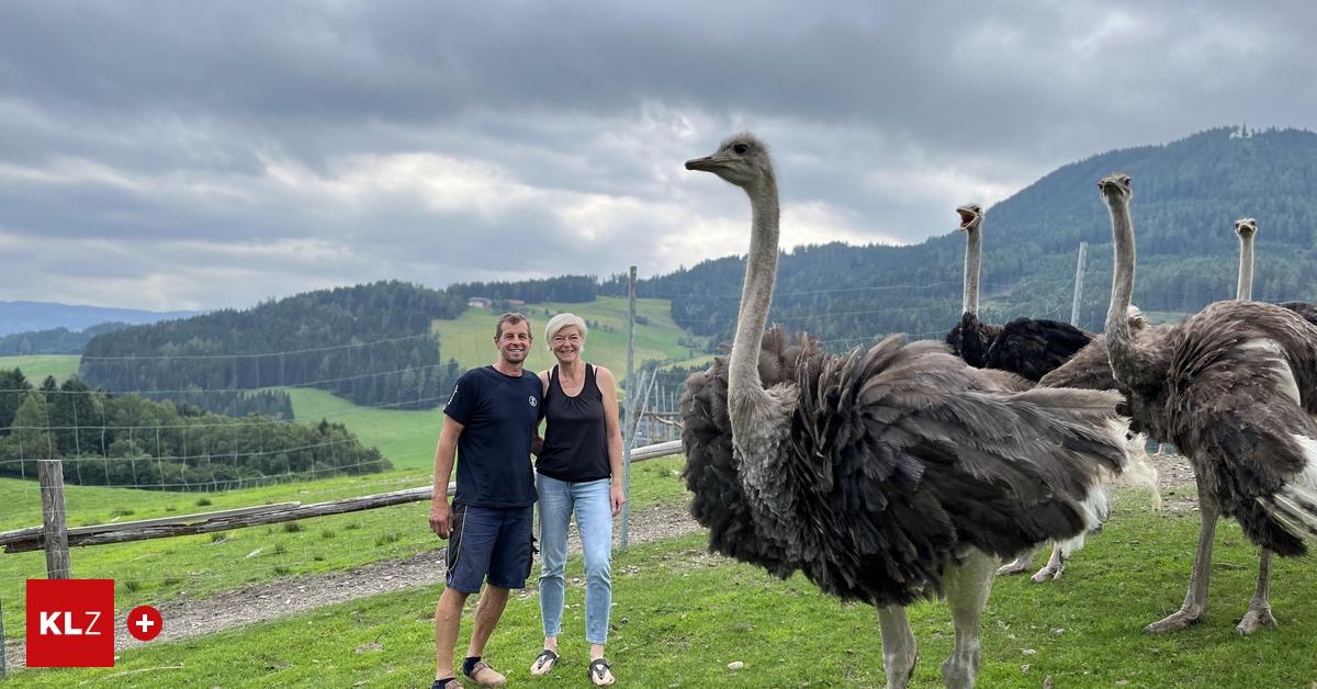 Jubiläum: Straußenhof Wallner feiert 10 Jahre und lädt zum Hoffest