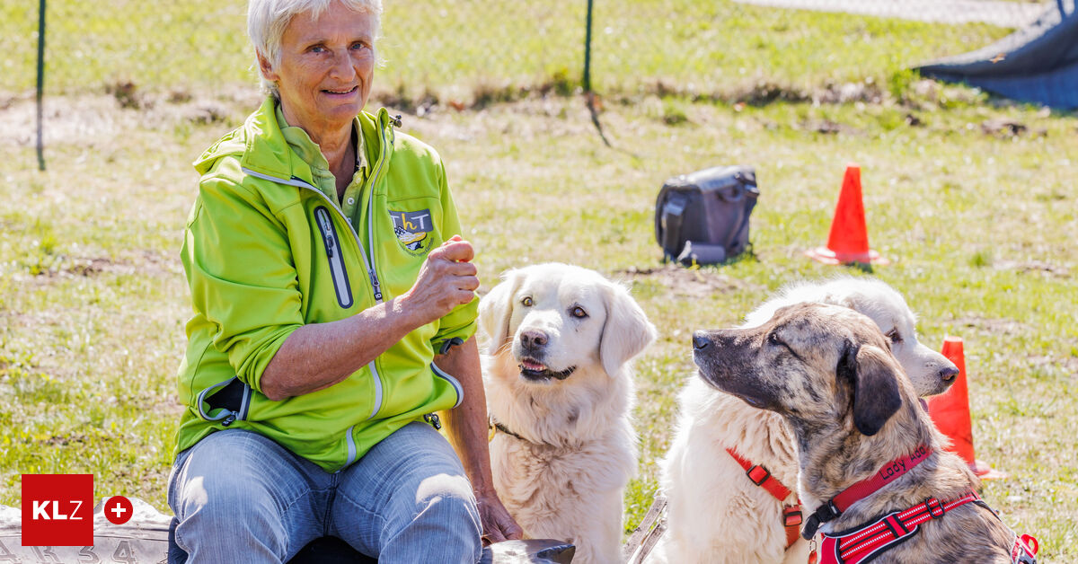 Tier & Mensch: Sie bildet Hunde als Begleiter fürs Leben aus