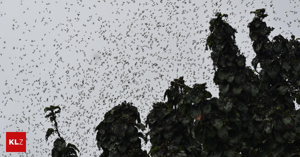 Time for kali her photos are hidden and she wasn’t seem