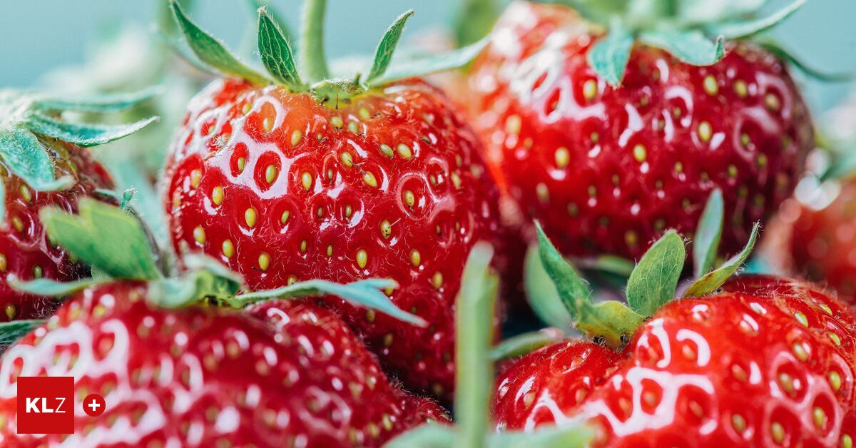 Smoothies und Fruchtsäfte: Zu viel Fruktose kann schädlich für die ...