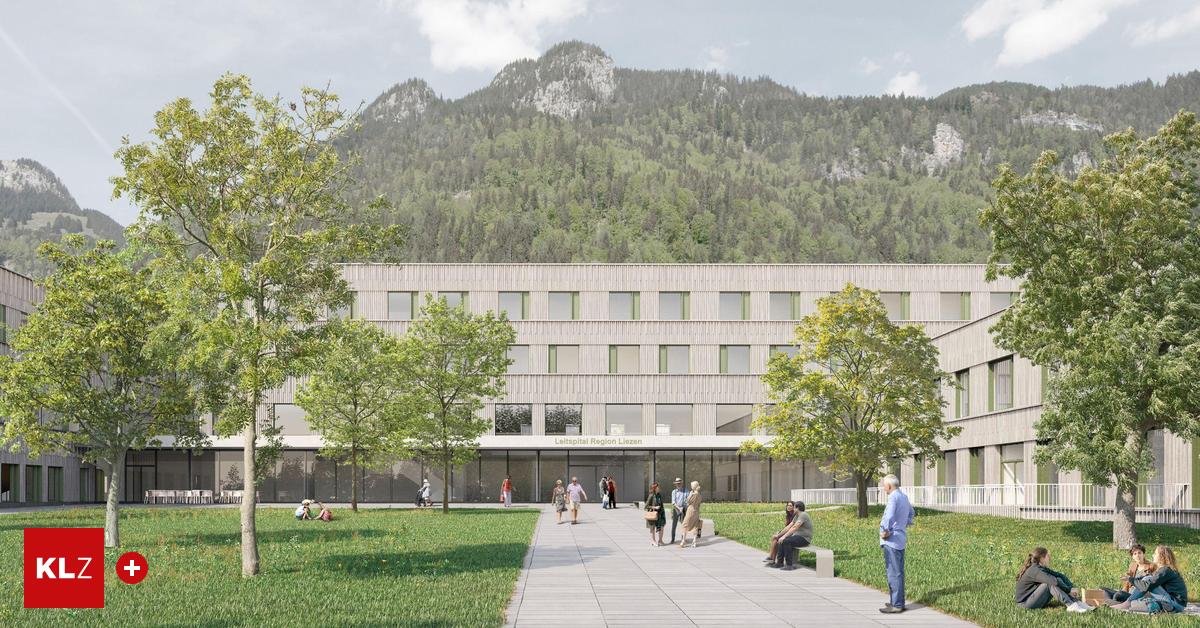 Leitspital-Debatte: Ex-Meduni-Rektor Samonigg: „Der Boykott ist ...