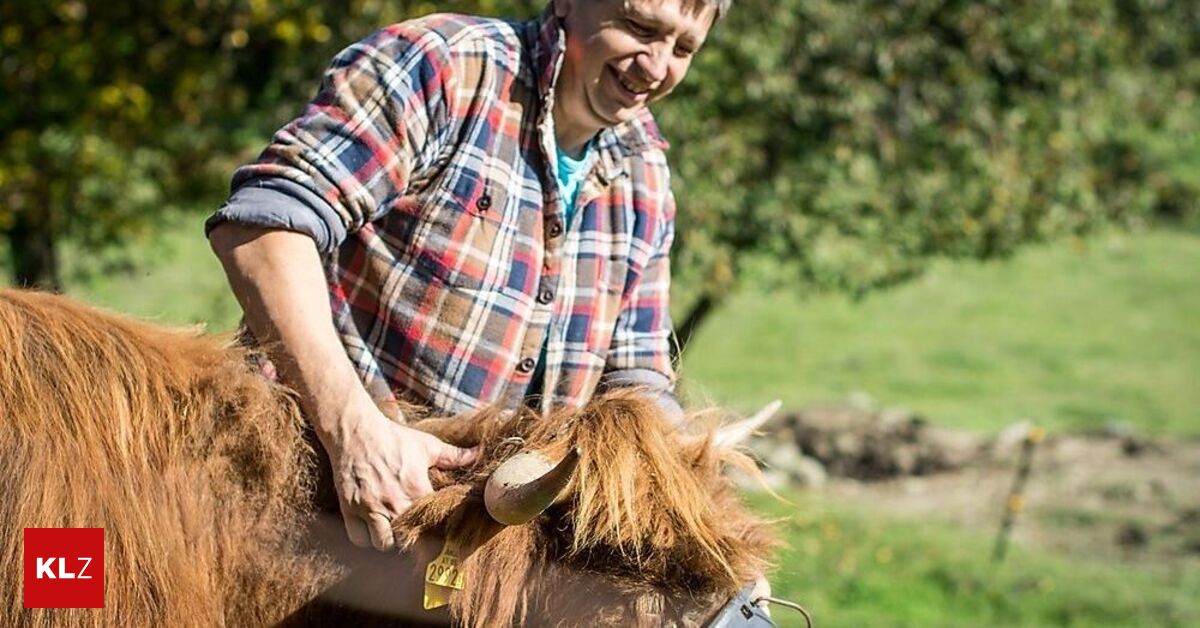 Nahgenuss per Internet: Bio-Fleisch per Mausklick und Postversand