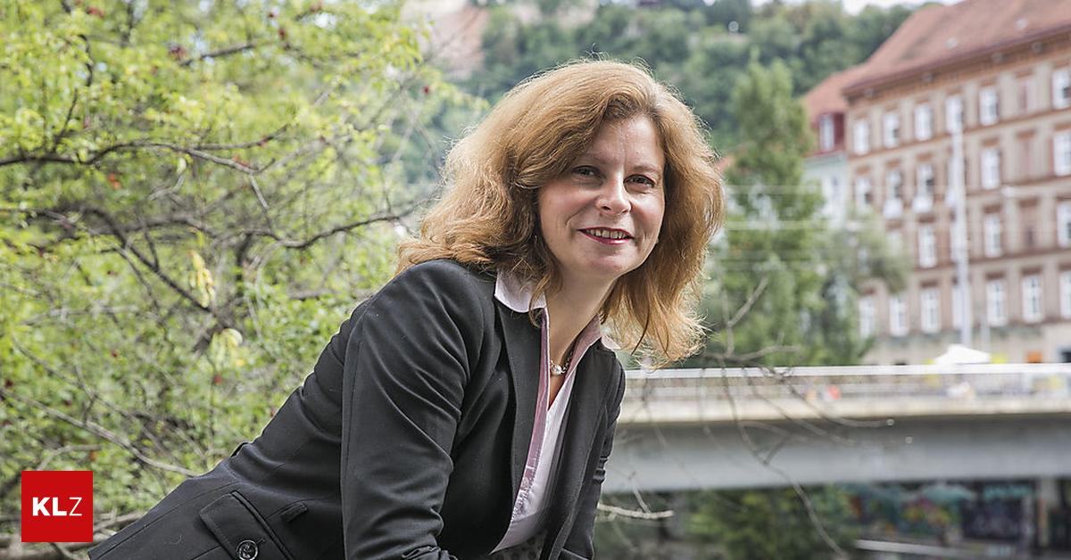 Hanlo: Fertighäuser: "Der Markt wird neu verteilt"