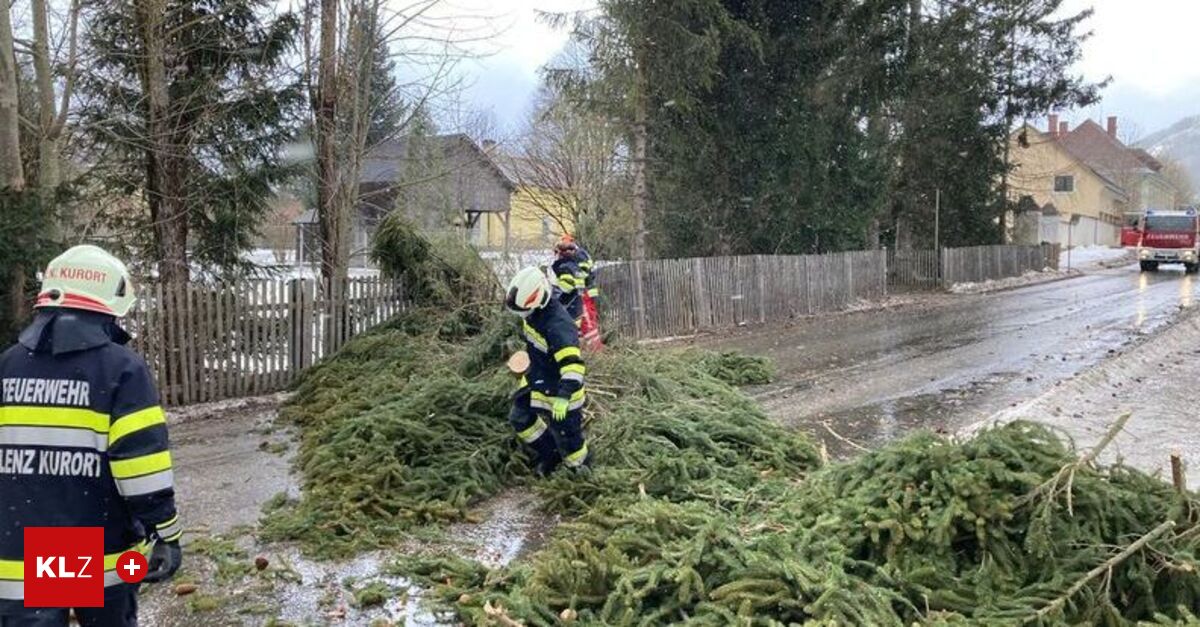 Leichte Sprache: Viele Feuerwehr-Einsätze nach starken Stürmen in der ...