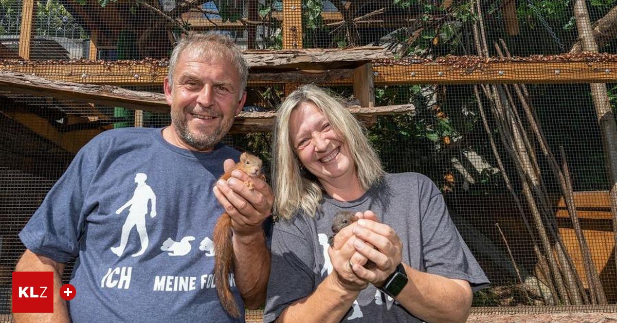 Websis Eichhörnchenhilfe: Von der Krebsdiagnose zur Anlaufstelle für ...