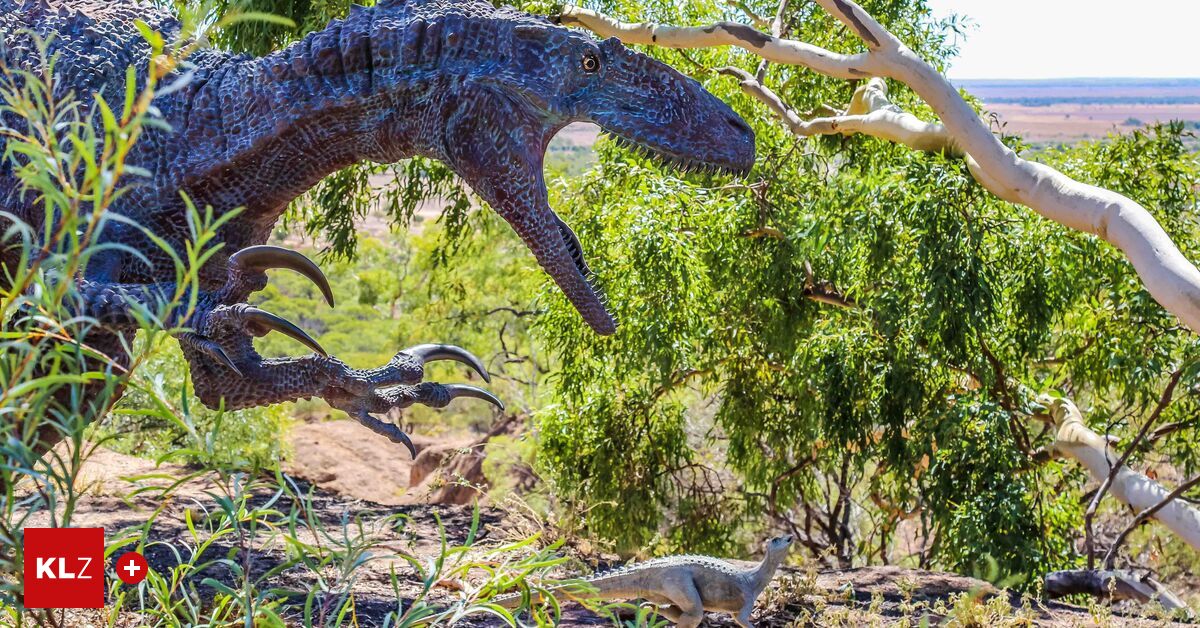 Fossilienfunde im Nirgendwo: Australien ist wieder mitten im ...