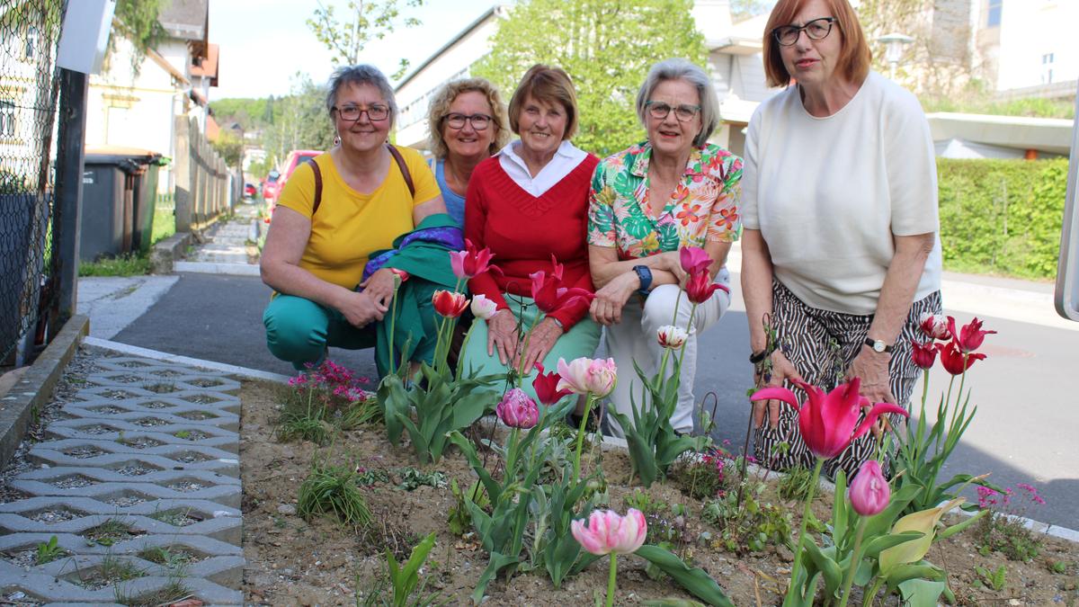 Baumscheiben-Projekt: Diese Gleisdorferinnen garteln ehrenamtlich ...