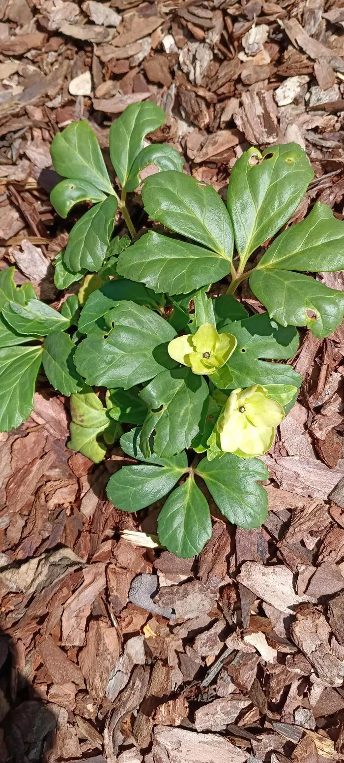 Kein kalter Sommer: Der Juli war in Kärnten zu warm