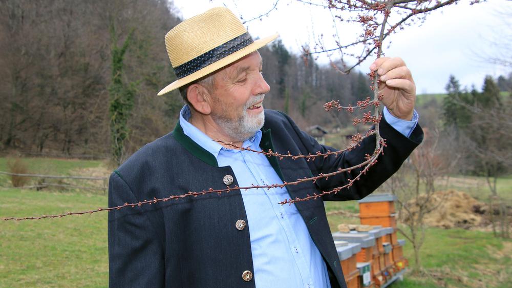 Köflach: Familie Wascher führt am Tag der Streuobstwiese durch die ...