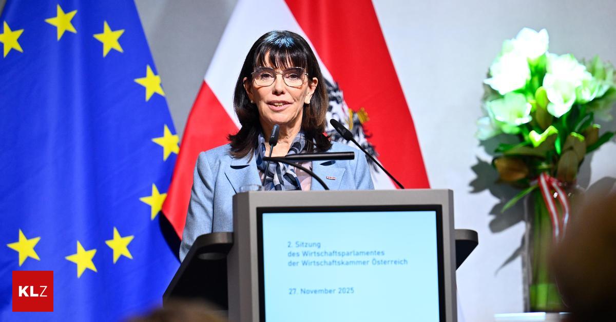 Martha Schultz: „Das WKO-Image in der Öffentlichkeit ist ramponiert“