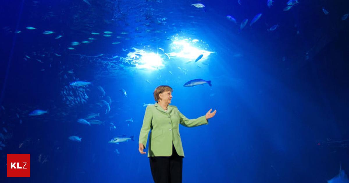 Island als Vorbild?: So meistert man eine Krise