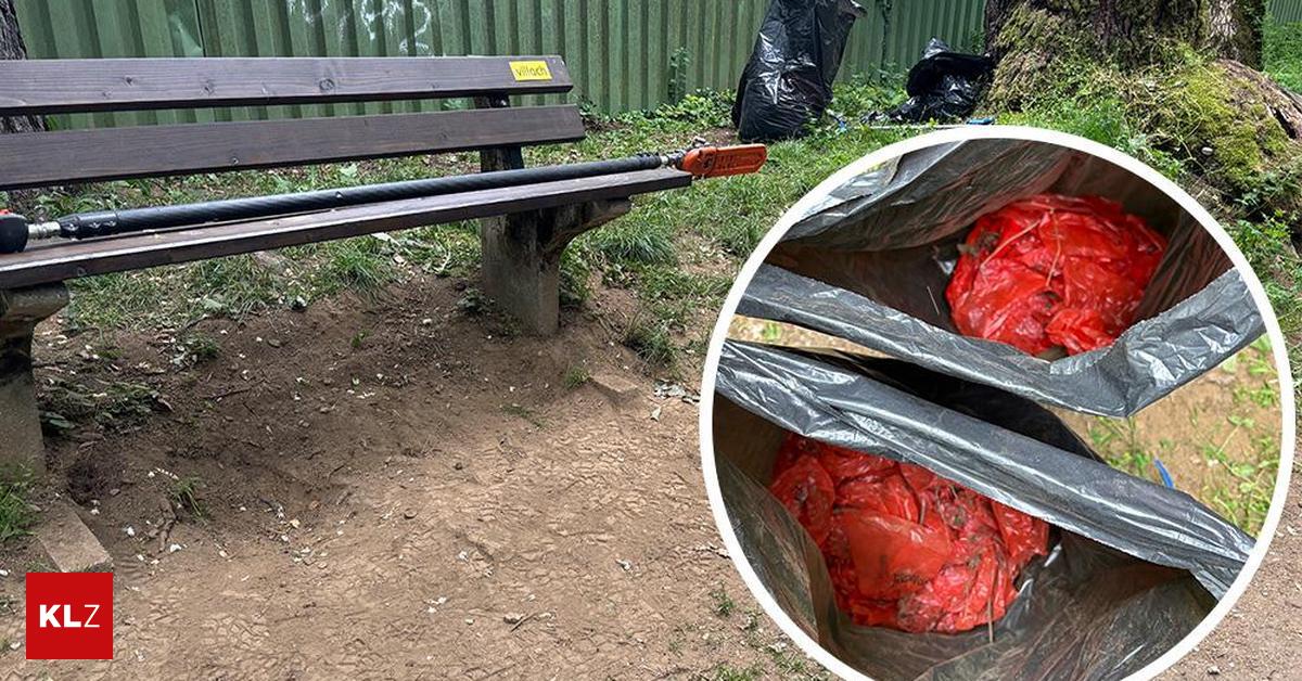 Ungustiös: Über 100 Gassi-Sackerl wurden beim Stadion Lind auf Bäume ...