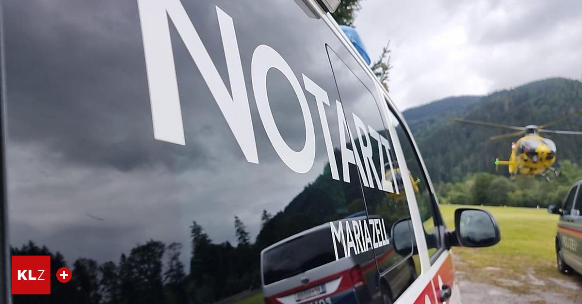 Mariazell: Mann geriet mit Hand in Holzspalter und trennte sich mehrere Finger ab