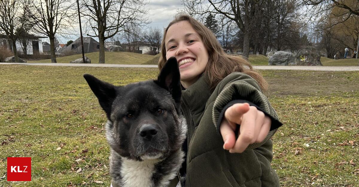 Rund 200.000 Fans: Gehörlose Hündin aus Graz ist Social Media-Star