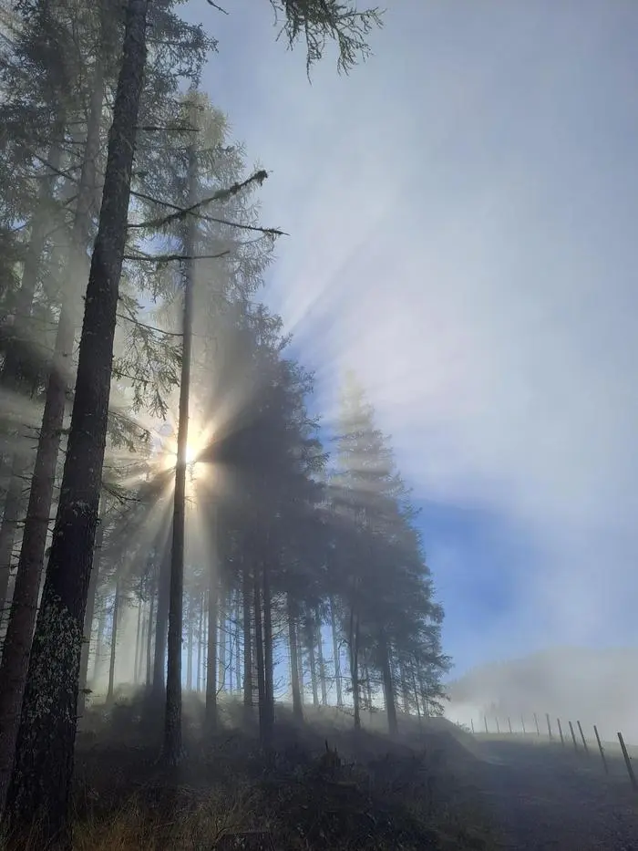 Nebel und Regen : Wetter sorgt für gefährliche Situationen auf Kärntens ...