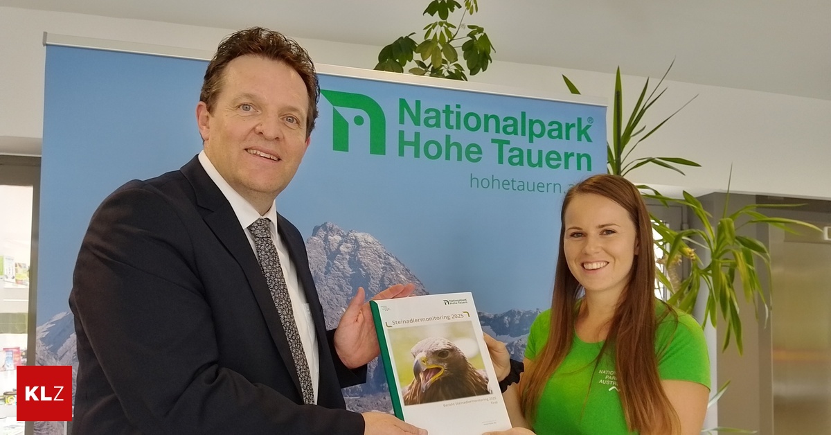 Steinadler-Monitoring: Die Freude über sechs Jungvögel in Osttirol ist groß