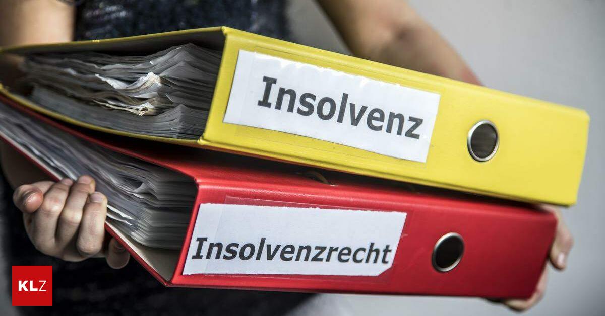 Insolvenzen und Privatkonkurse: Zwölf Unternehmen mit 2,19 Millionen ...