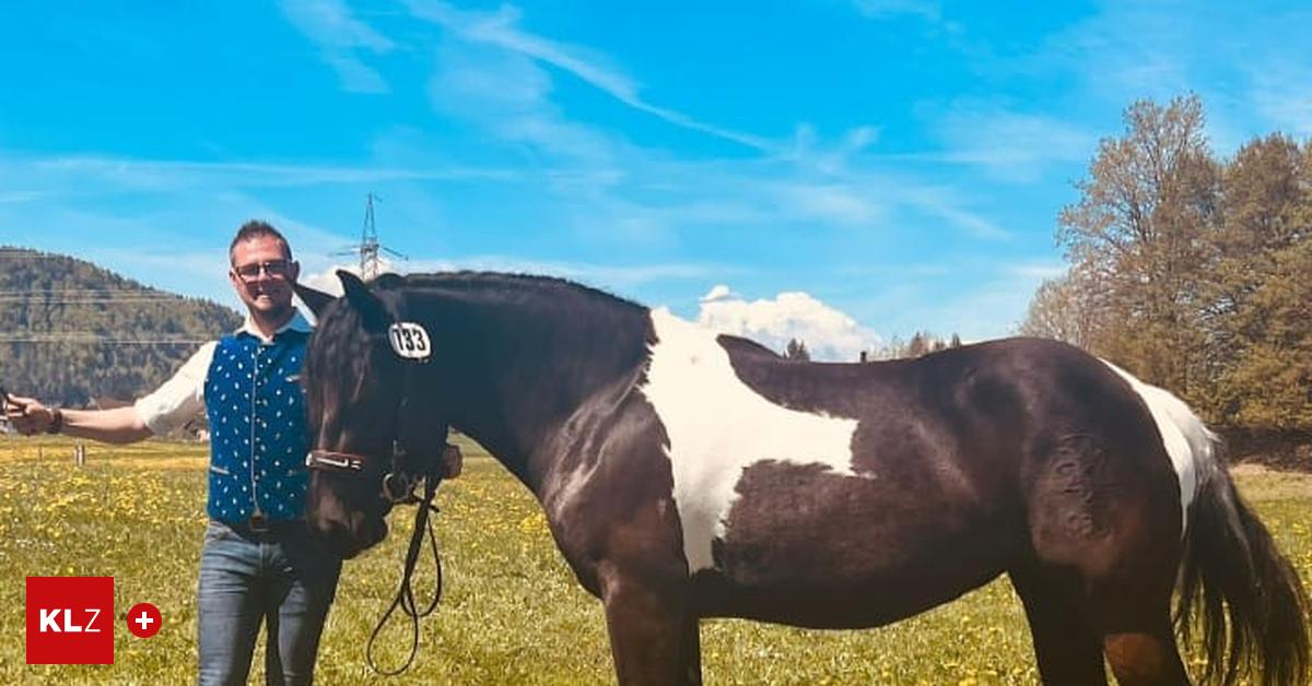 Weihnachtsgeschenk für Kinder: Villacher verschenkt Zeit mit seinem Pferd