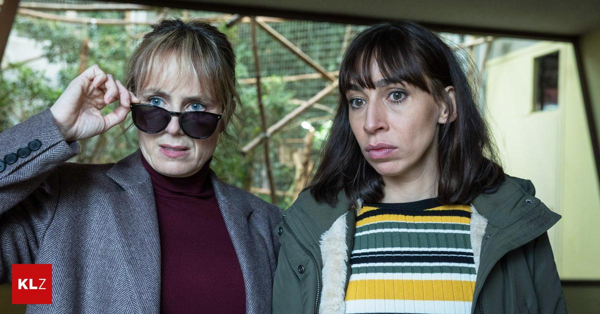 Stimmen Sie ab!: Wie hat ihnen der Schweizer Affen-“Tatort“ gefallen?