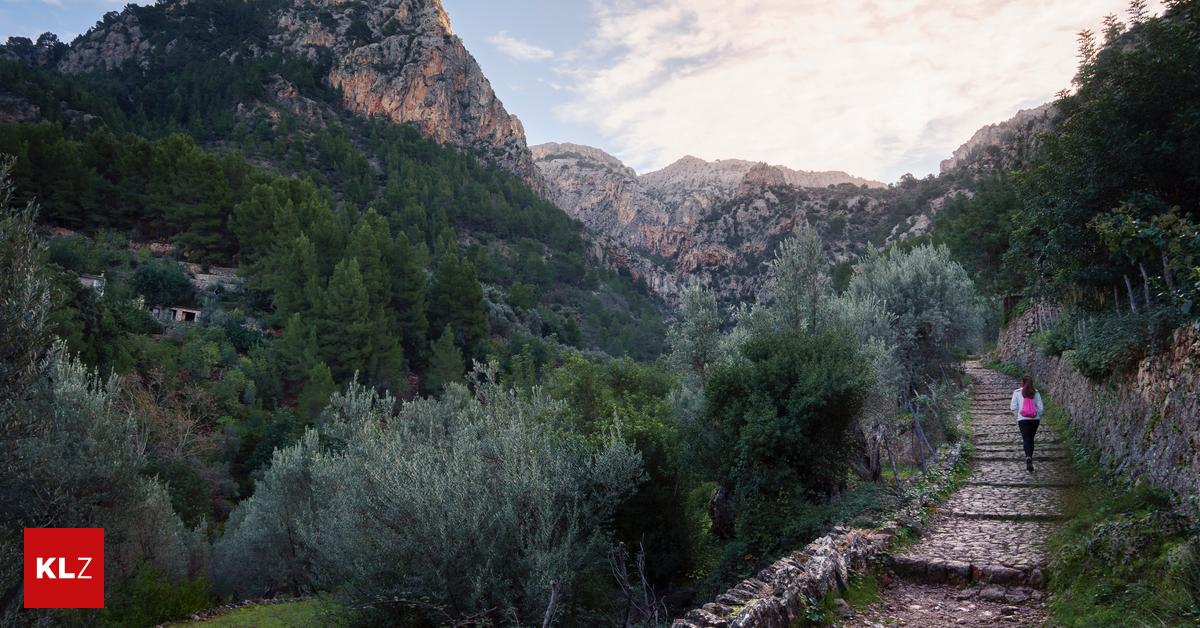 Mallorca: Warum man die Insel gerade im Winter besuchen sollte