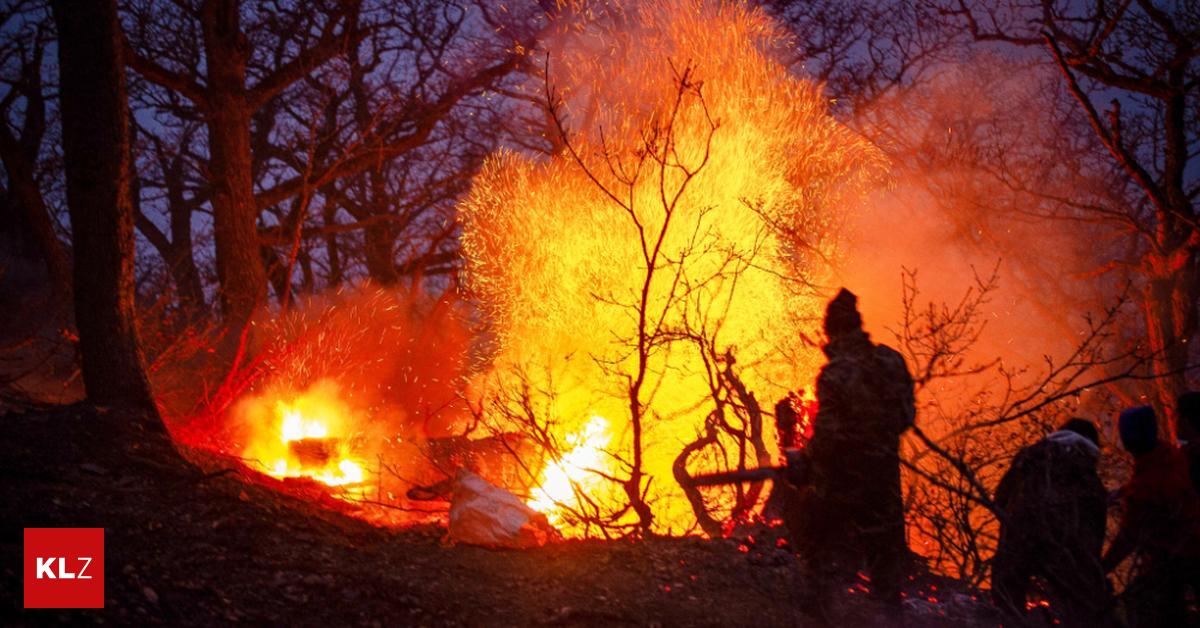 Teheran: Iran bittet wegen Feuer in UNESCO-Welterbe-Wald um Hilfe